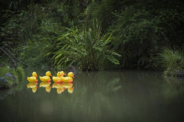 Guadalupe Casasnovas y Victoria Thomén expondrán en Sao Paulo, Brasil ...